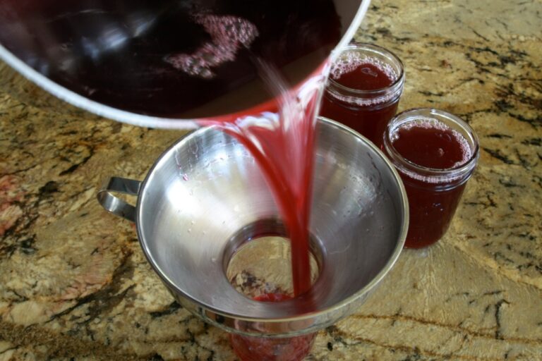 Making Chokecherry Syrup – Make It Do