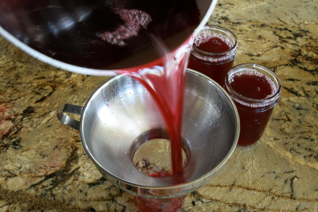 Making Chokecherry Syrup – Make It Do