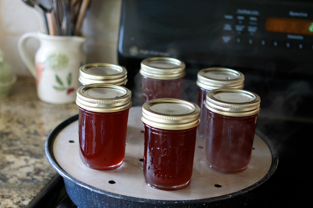 Making Chokecherry Syrup – Make It Do