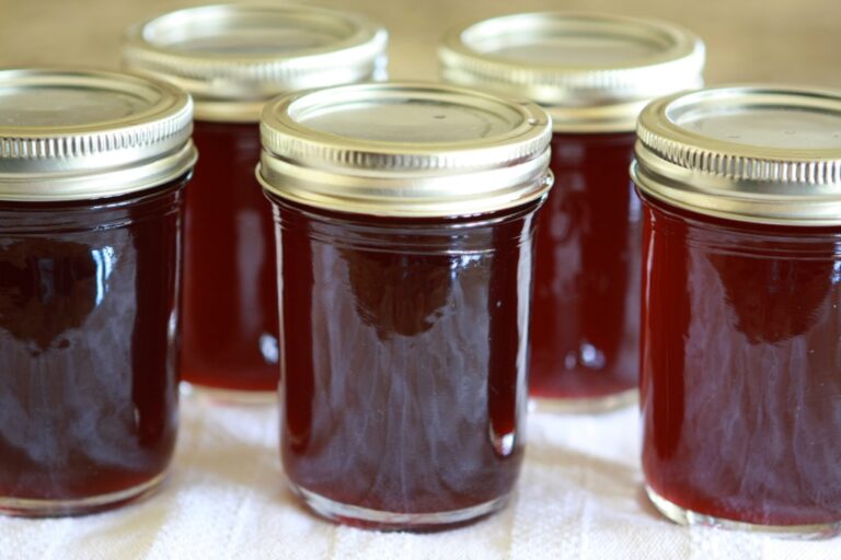 Making Chokecherry Syrup – Make It Do